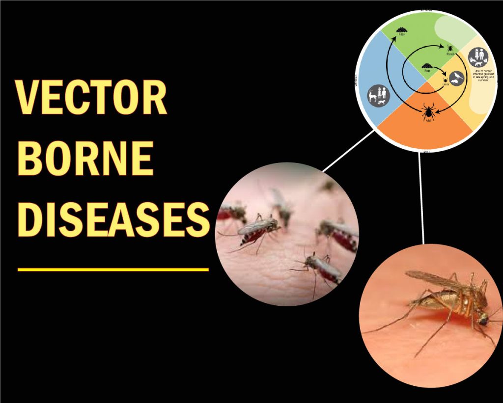 Impact of Climate Change on Vector-Borne Diseases in Pakistan ...